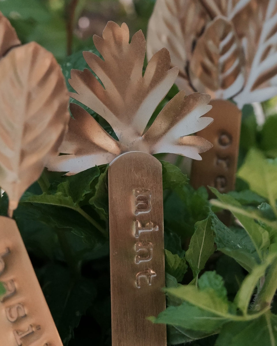 Herb Tags Set: Brass – Botanica Lane