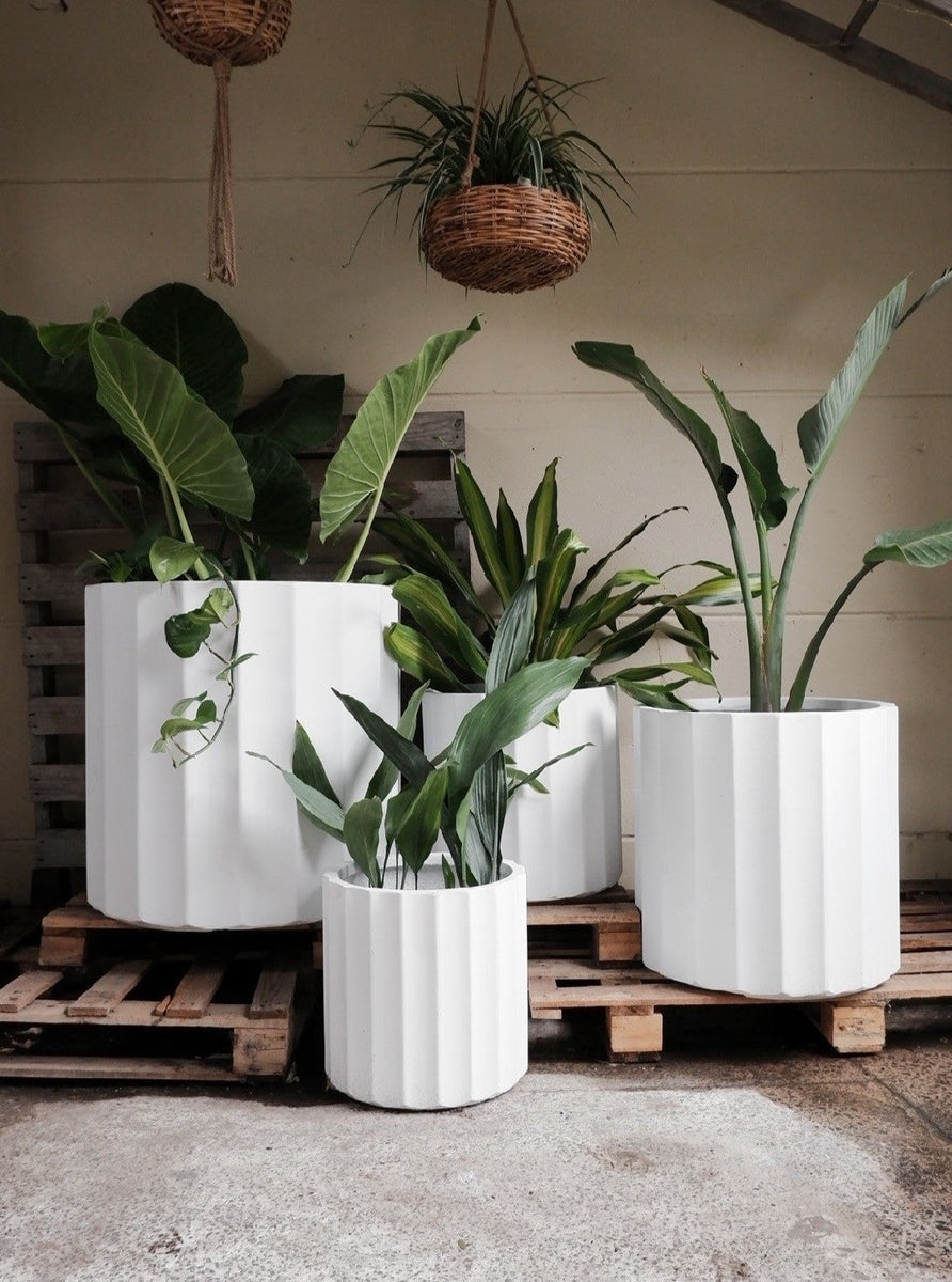 Gardenlite Grecian Planter – Botanica Lane